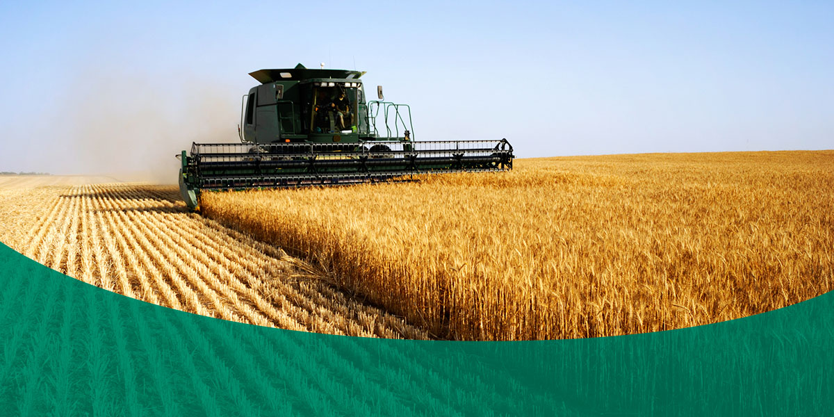 5 Helpful Harvest Safety Tips - CropCare