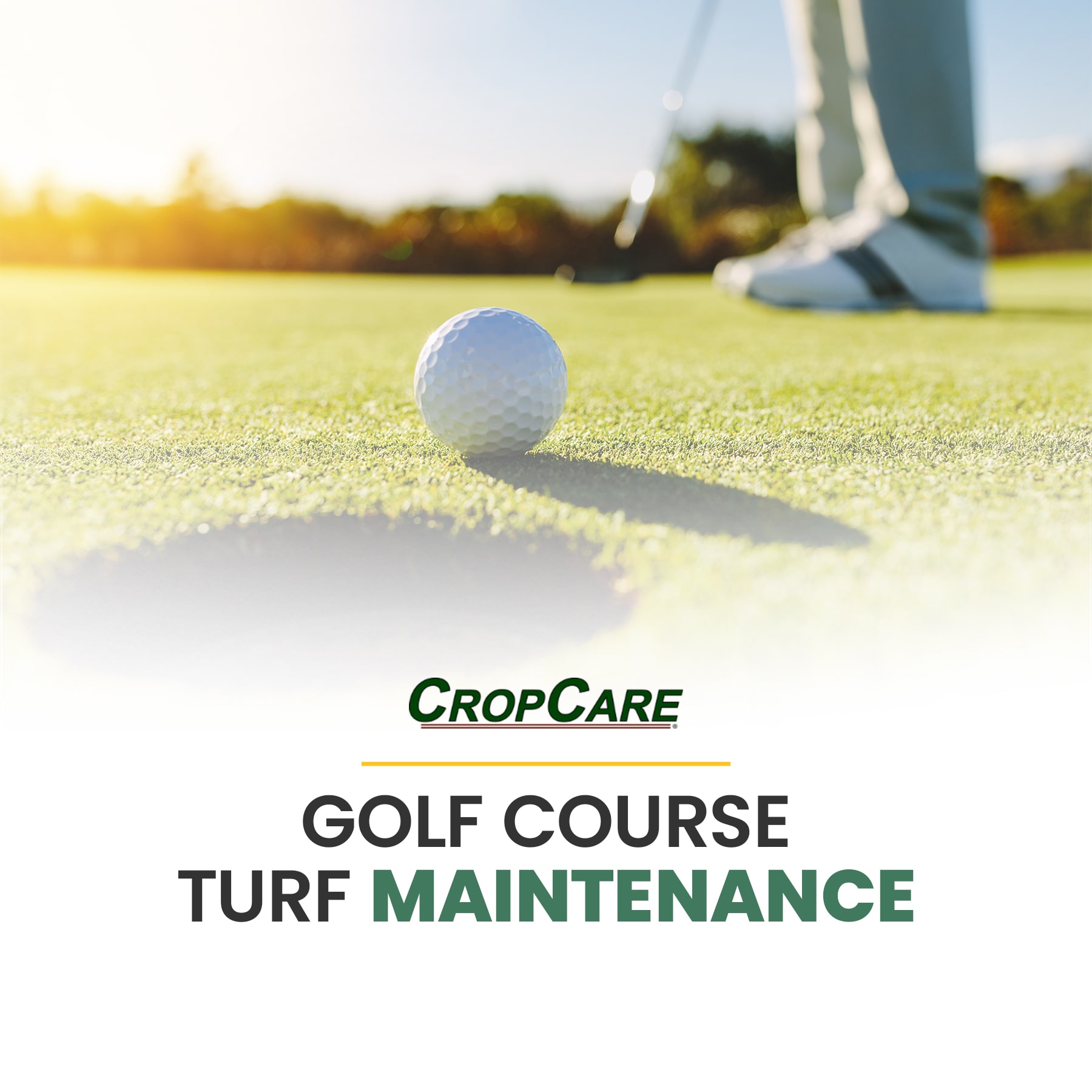 Golf Course Turf Maintenance | CropCare