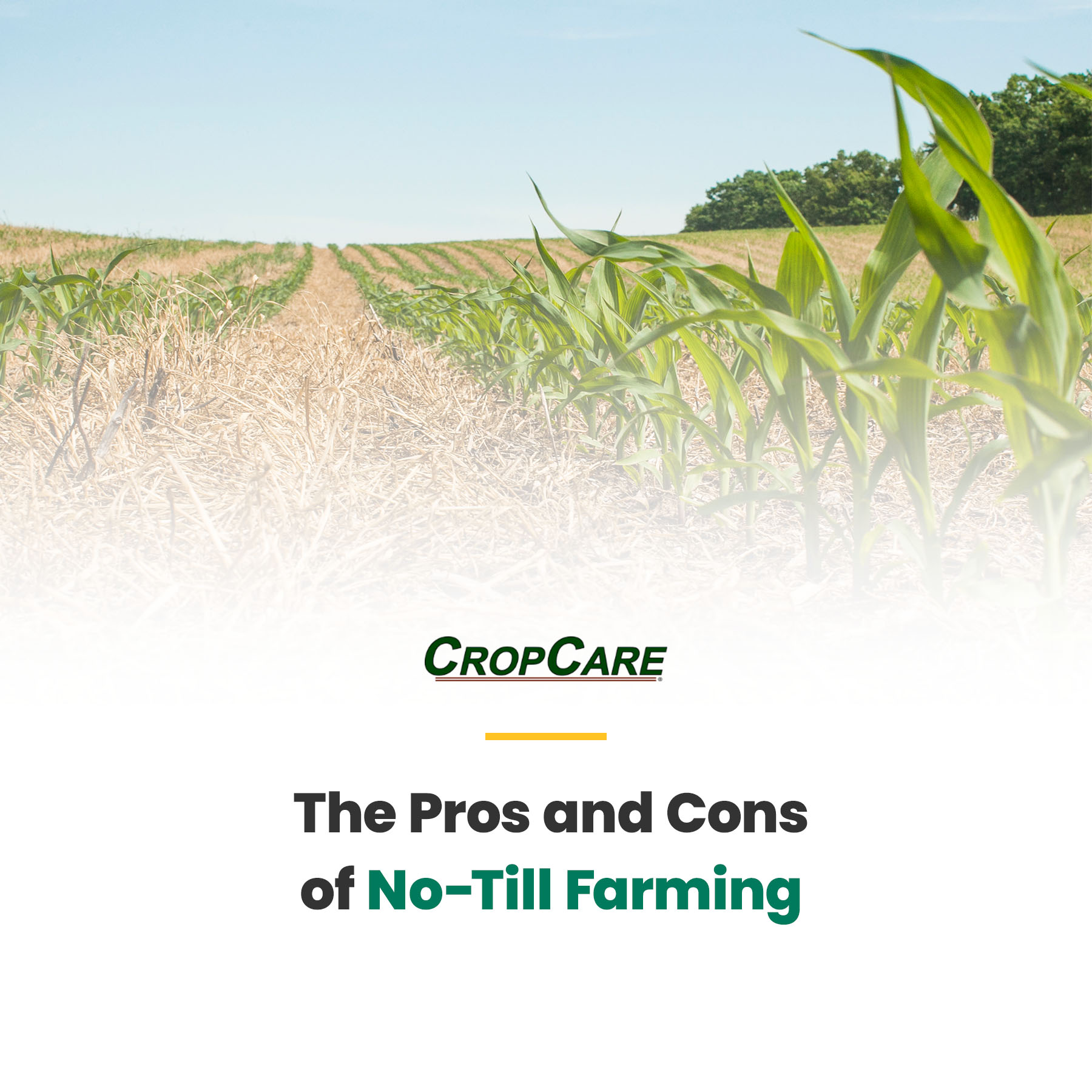 The Pros and Cons of No-Till Farming | CropCare