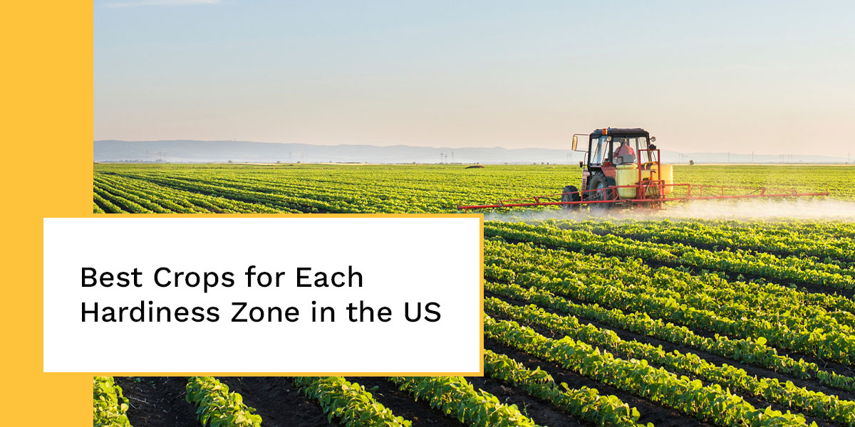 Best Crops for Each Hardiness Zone in the US | CropCare